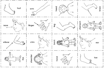 THE BODY: FICHAS PARA COLOREAR